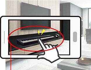 Electronic Musical Instruments - AR | CASIO