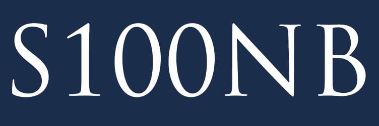 プレミアム電卓 S100 THE SPECIAL ONE S100 | CASIO