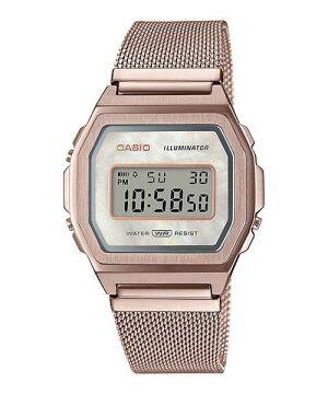 A1000MA-7 | CASIO