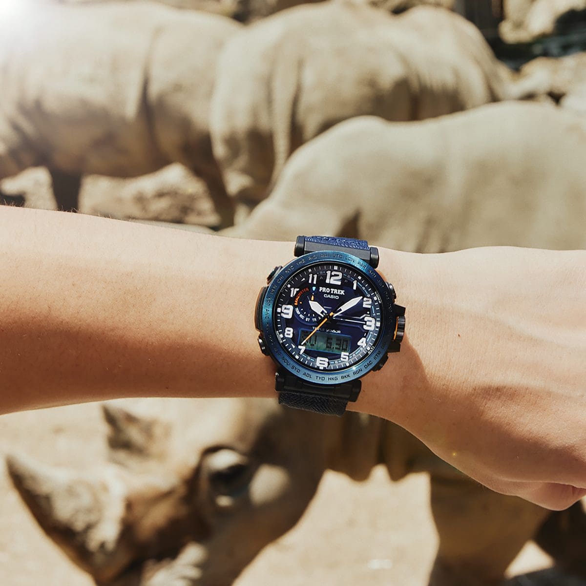 PRG-601YB-2 | PRO TREK PRG-600 Serisi | CASIO TURKEY