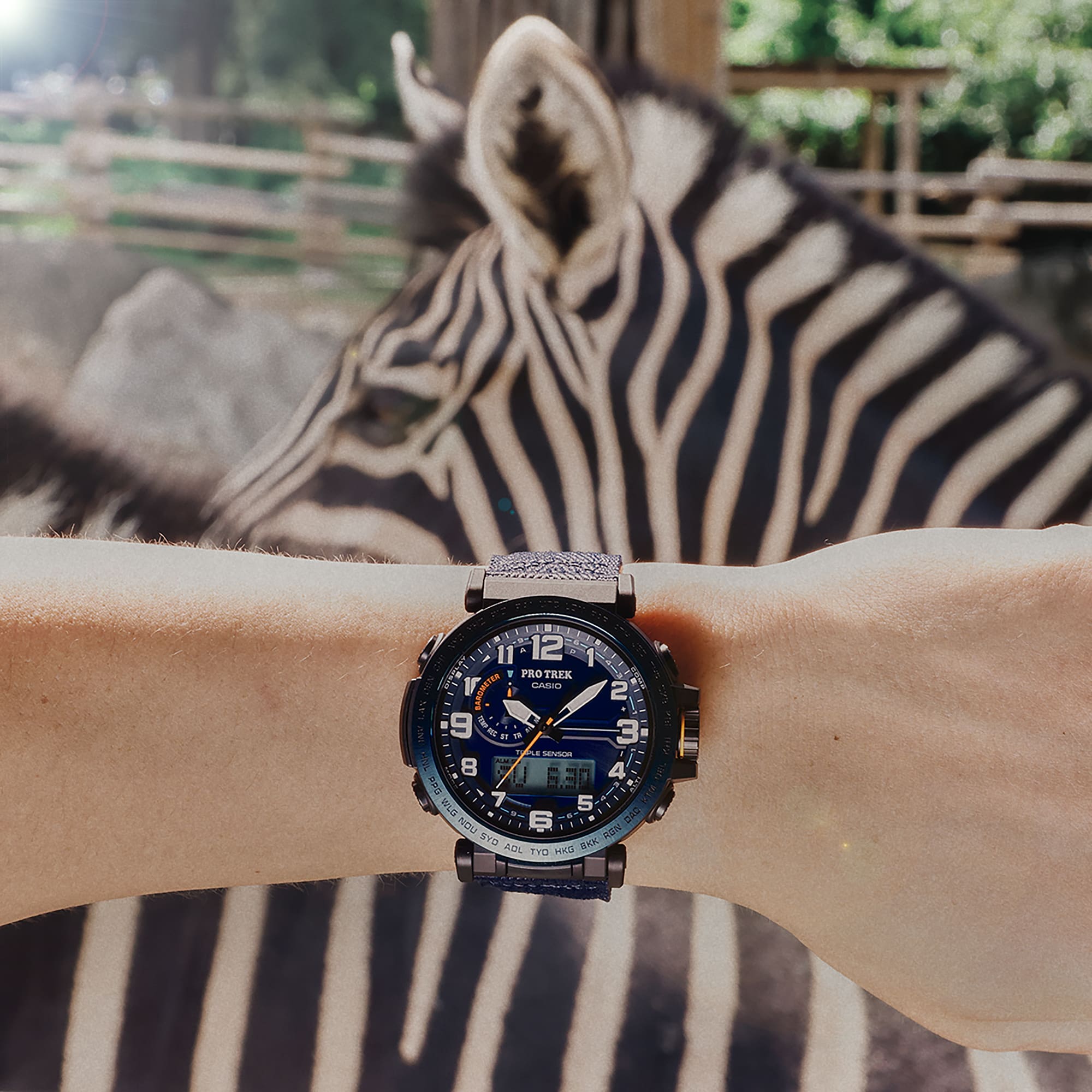 PRG601YB-2 | PRO TREK PRG-600 Series Blue, Light blue | CASIO